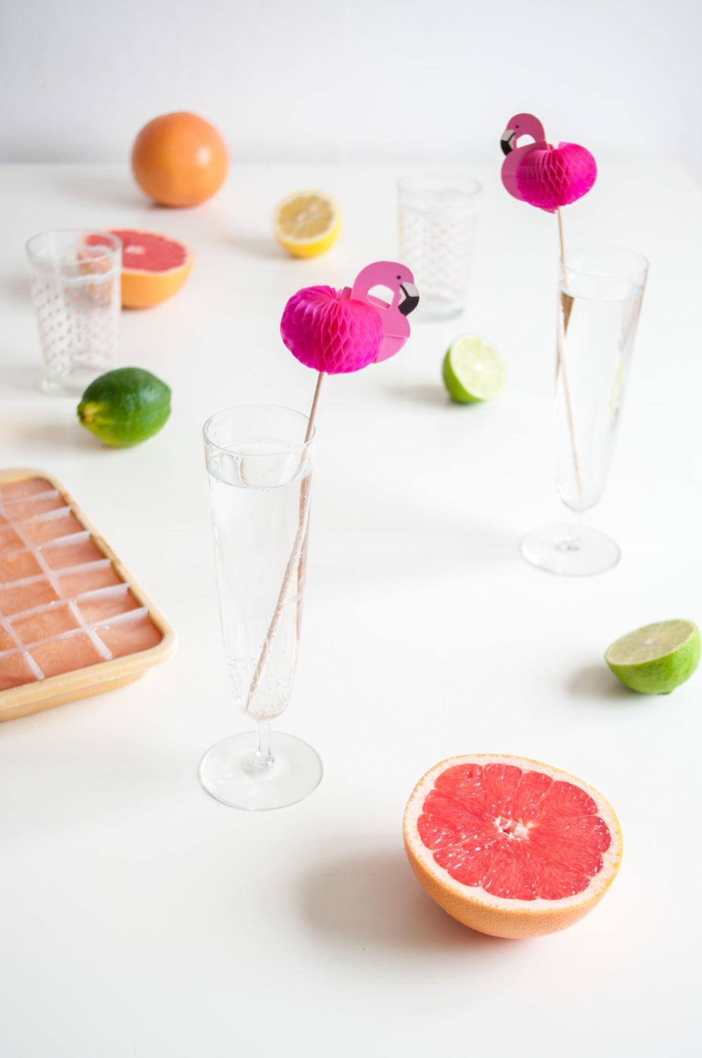 Citrus fizz • Delicious from scratch